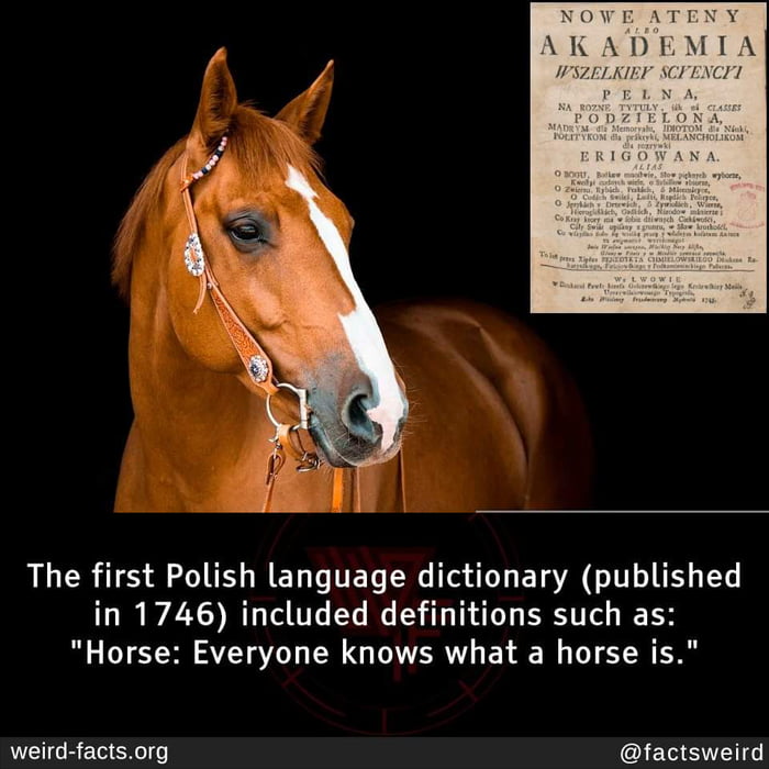 The Polish can be very blunt - 9GAG
