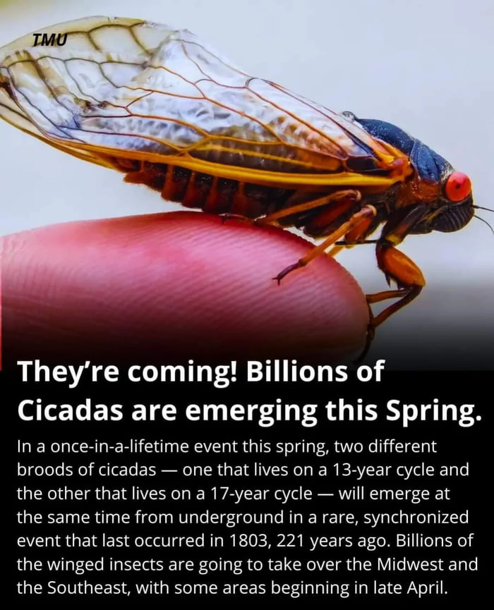 Can't wait to inevitably see this in some nature documentary while ...