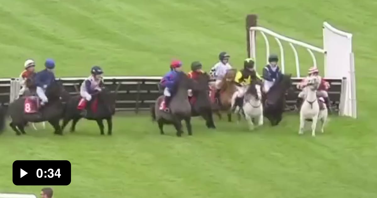 Midgets on a midget horse (Shetland pony) race - 9GAG