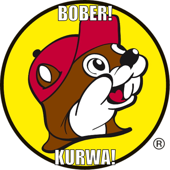 Bober! Kurwa! - 9GAG