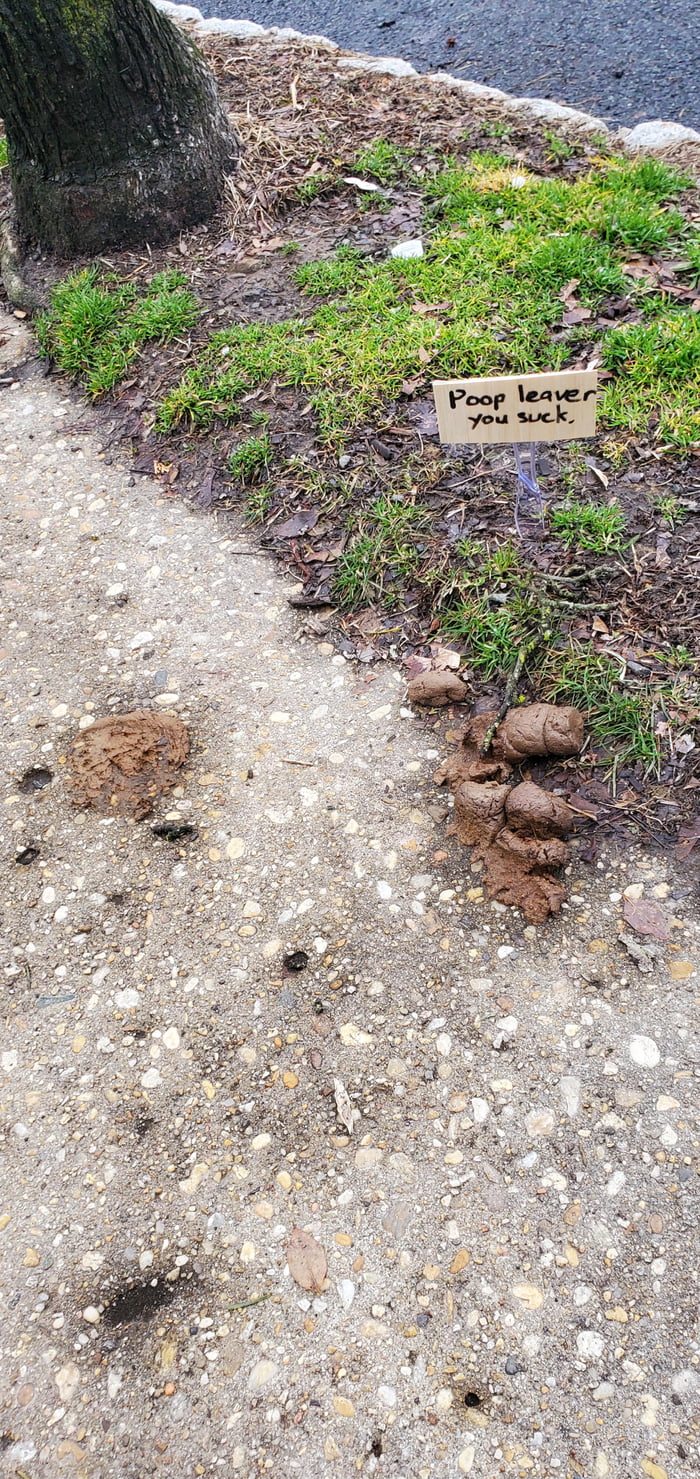 Poop leaver, you suck - 9GAG