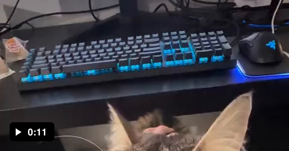 How many horsepower does it have. Engine is running - 9GAG