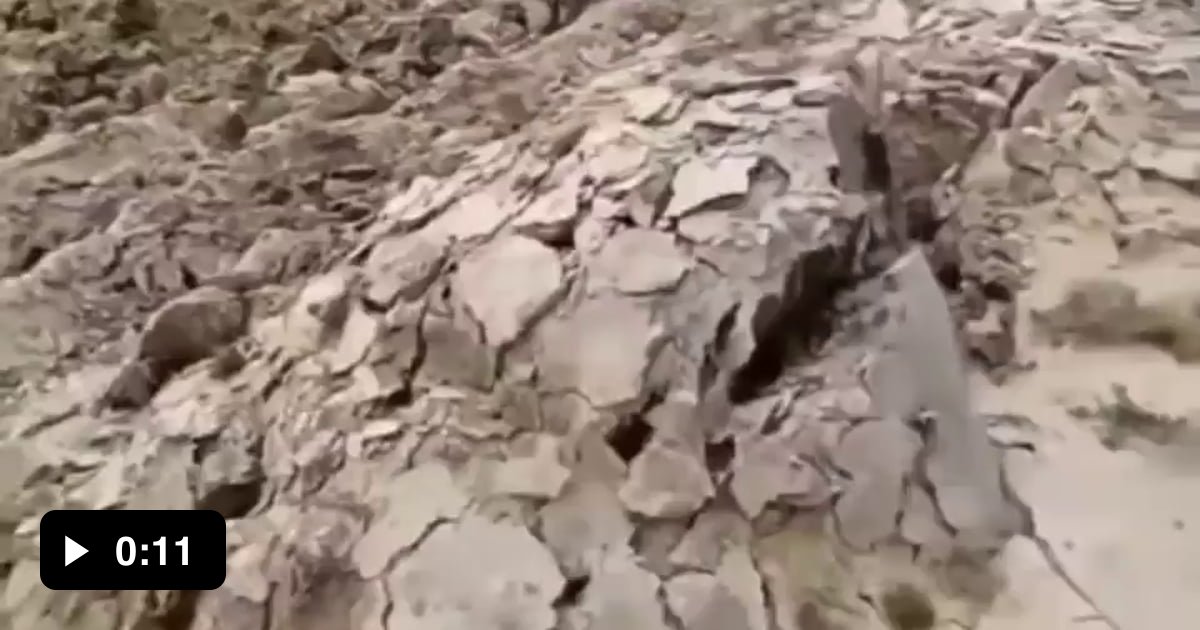 Real world "Tremors" - 9GAG