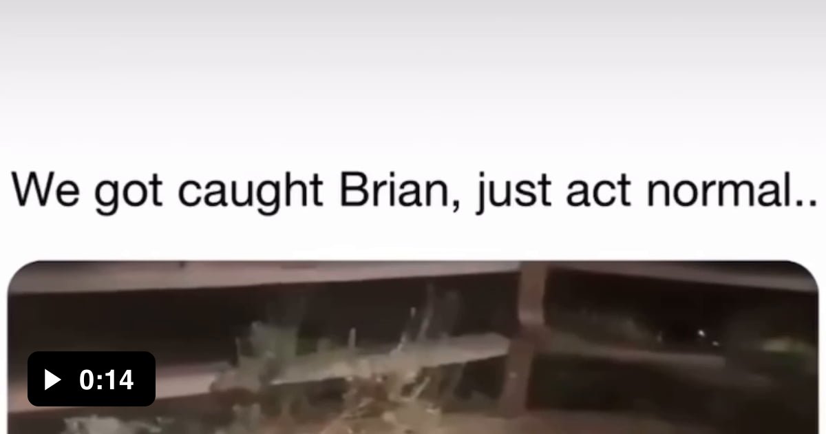 Dammit Brian - 9GAG