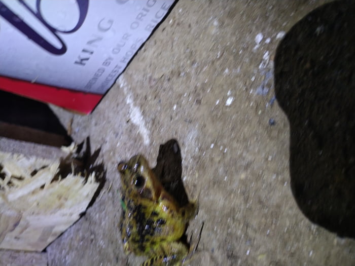 Hello from my workshop - 9GAG