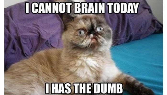 When not even spellcheck can save you - 9GAG