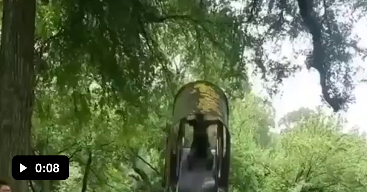 The hell with it. - 9GAG