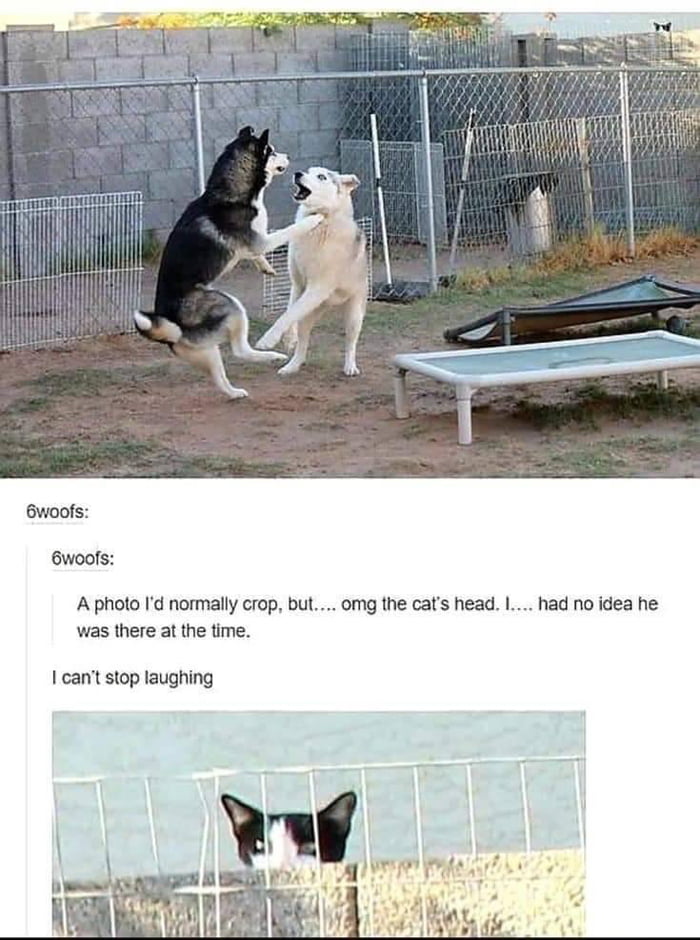 Hey watcha doin over der - 9GAG