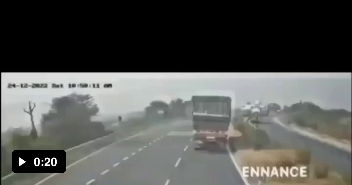 My dude not even startled ! - 9GAG