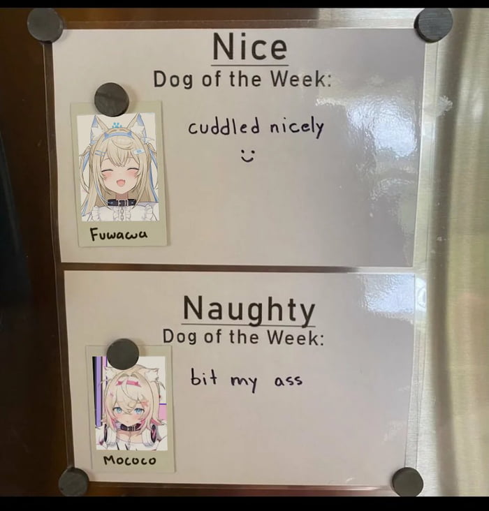 Good doggo / bad doggo - 9GAG