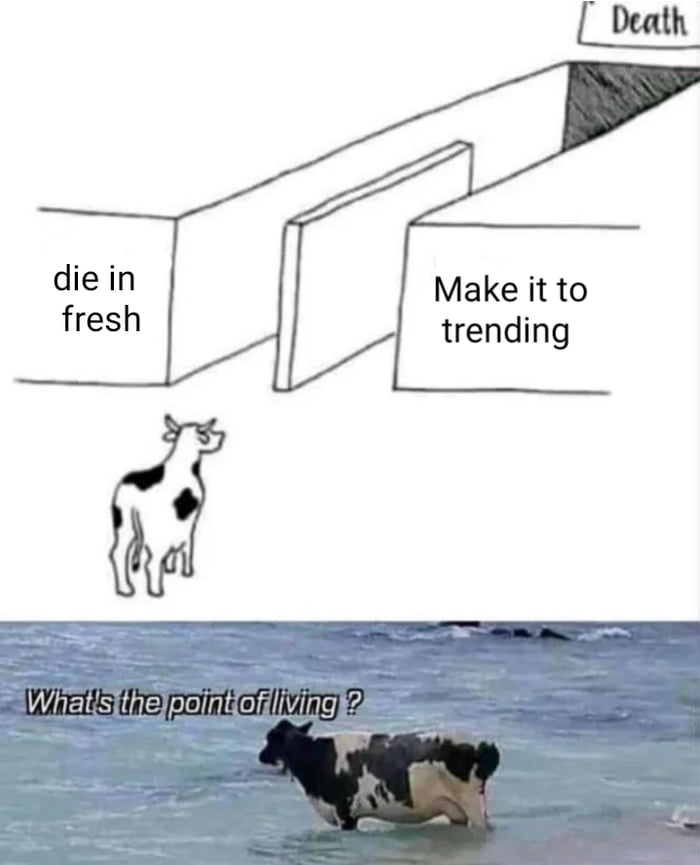 Pointless Chasing Dank memes - 9GAG