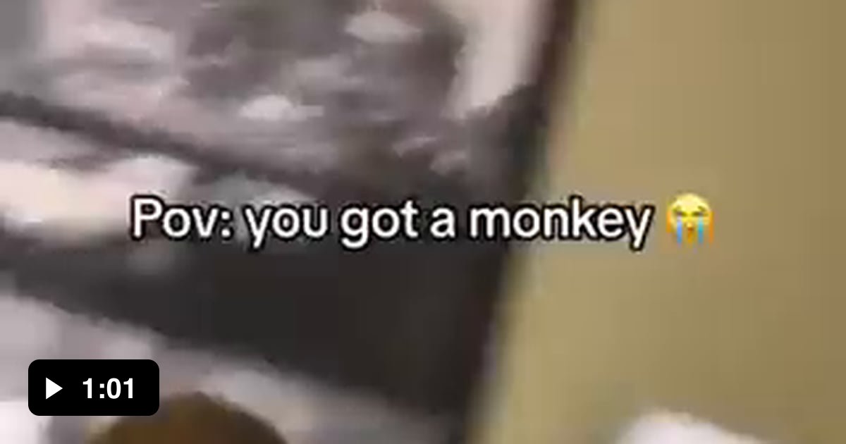 Monkey in a room.... - 9GAG