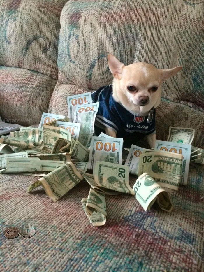 This is money dog, upvote and money will find you in the next 24 hours ...