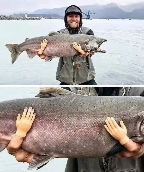 Going fishing, need your dankest fishing memes! Please. - 9GAG