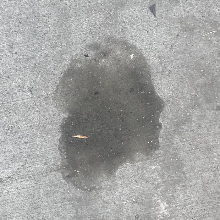 This dried-up puddle at work - 9GAG