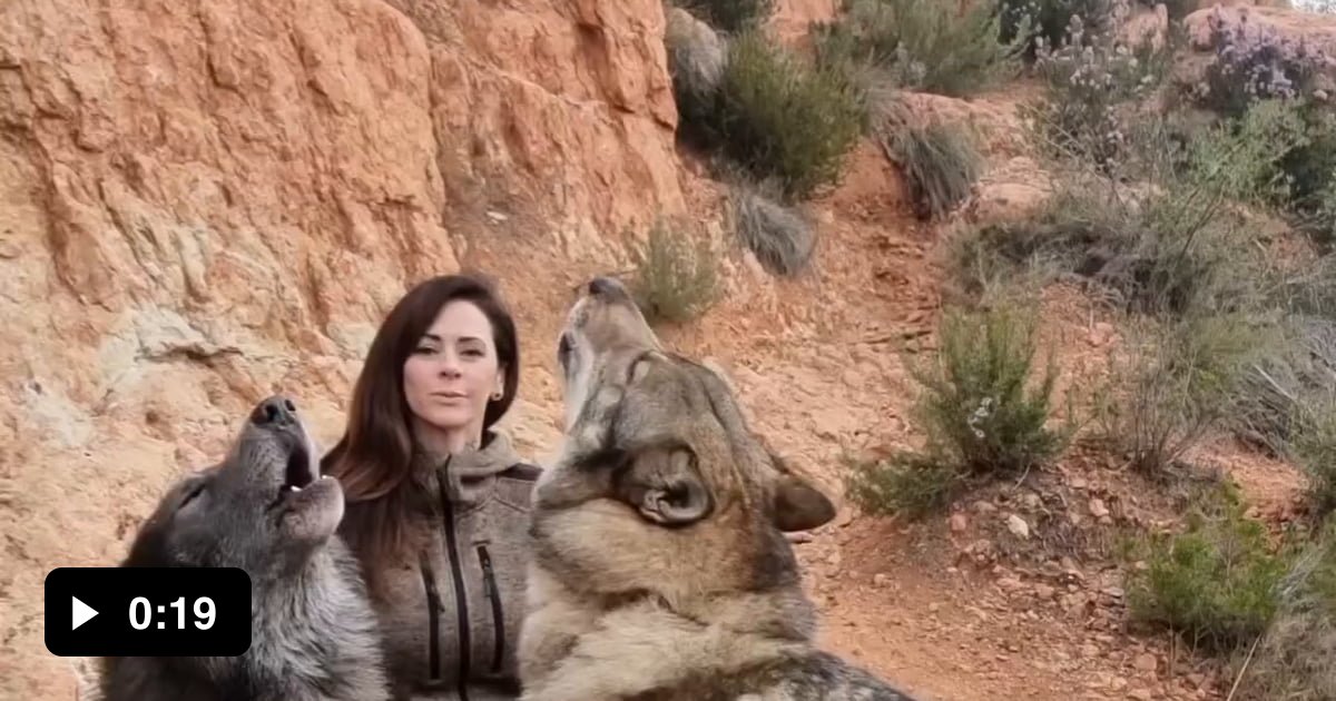 In you there are two wolves - 9GAG