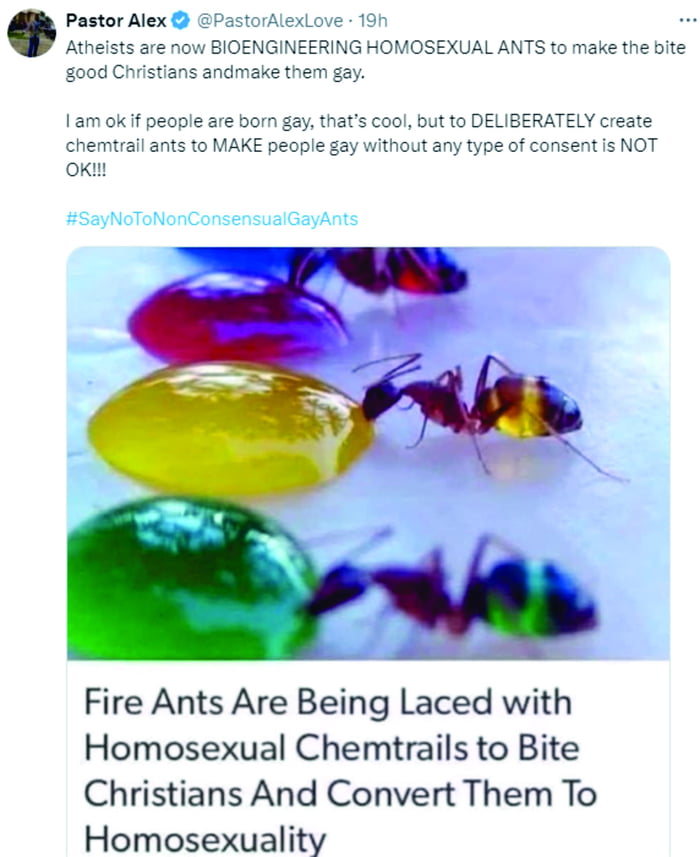 Atheist Orientation-Flipping Psychedelic Ants - 9GAG