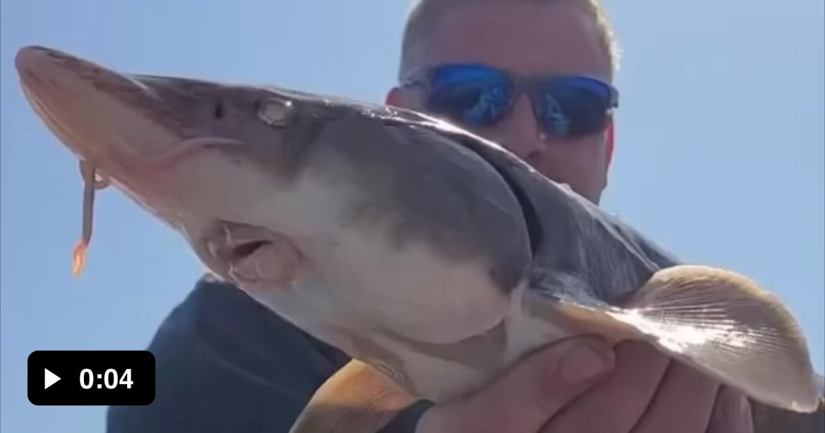 Let’s go for fishing!! - 9GAG