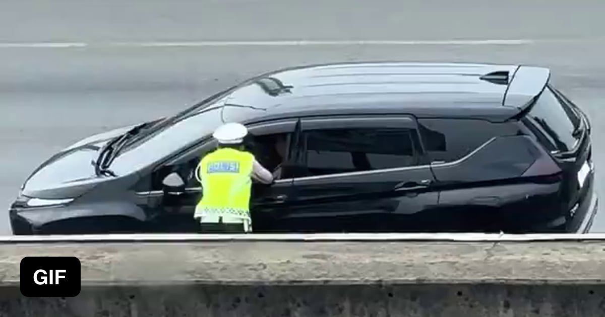 What are they doing over there? - 9GAG