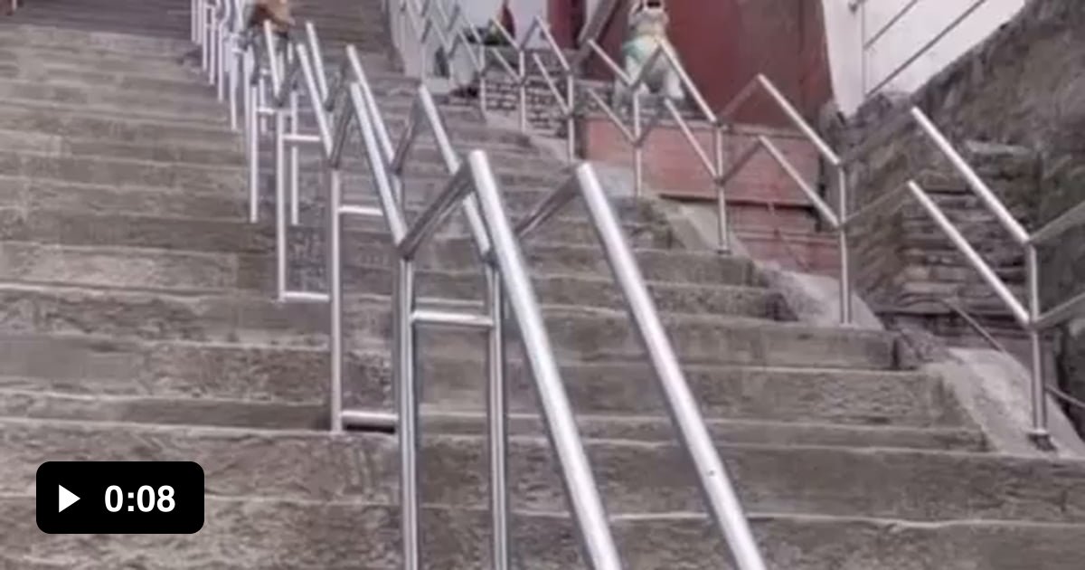 Clever monkey sliding down railing. - 9GAG