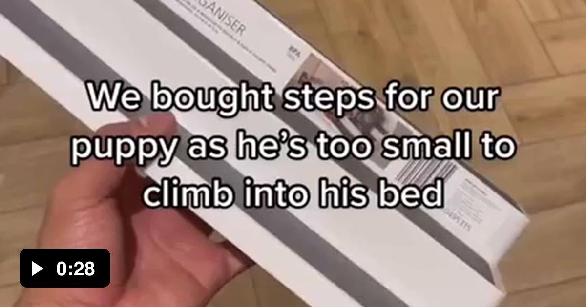 Steps for small doggo - 9GAG