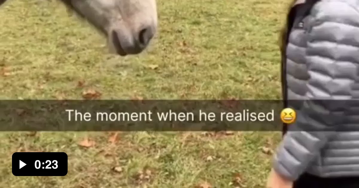 Aww.. Poor guy - 9GAG