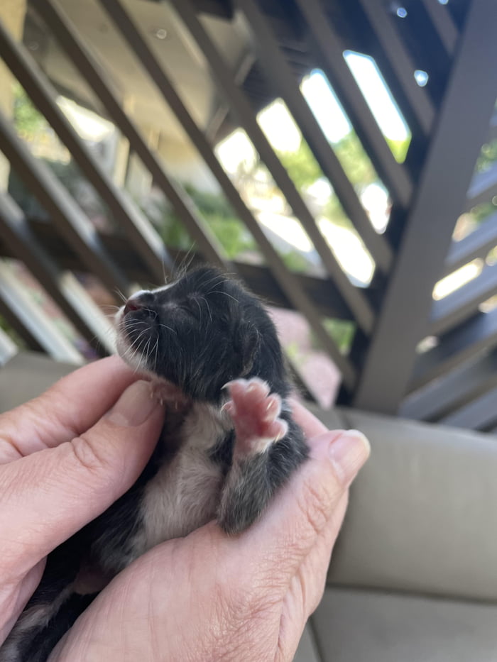 Brand new baby - 9GAG