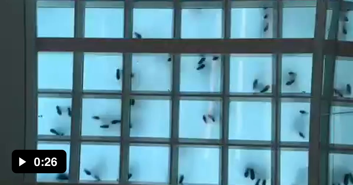 A salsa class filmed from below - 9GAG