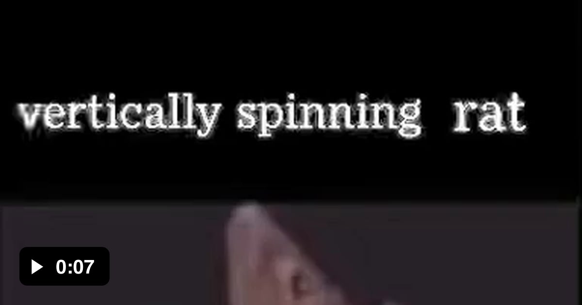 Since you guys liked it, here is the horizontally spinning rat - 9GAG
