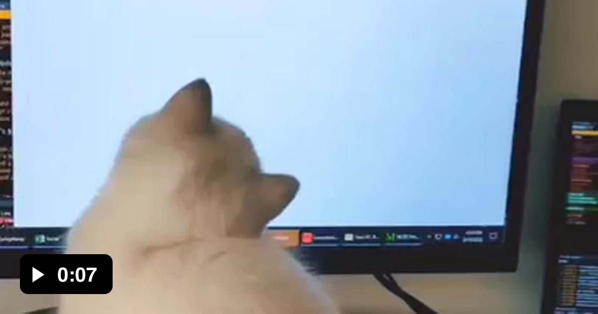 Coder/Programmer - 9GAG