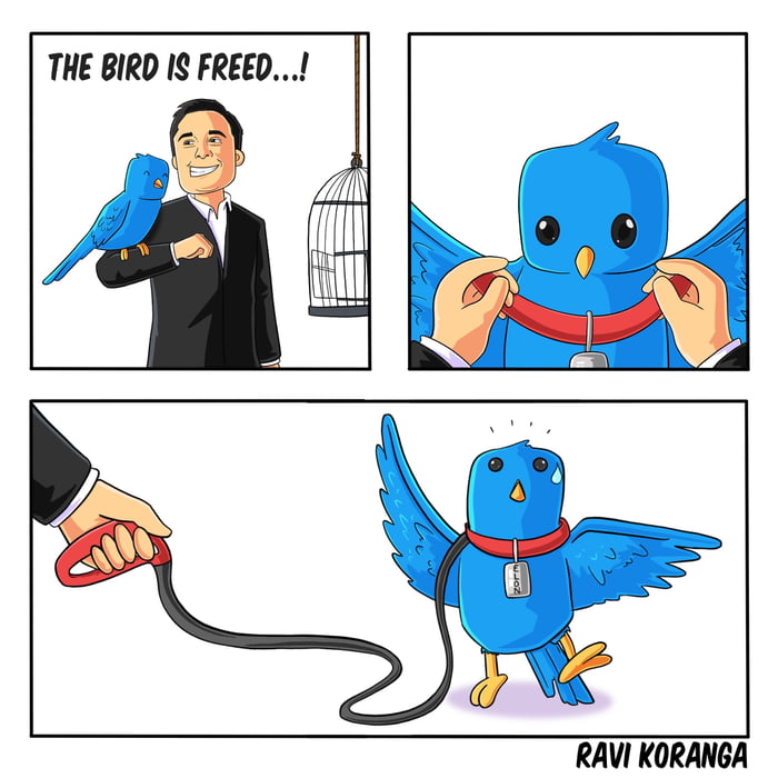 Is bird really freed? - 9GAG