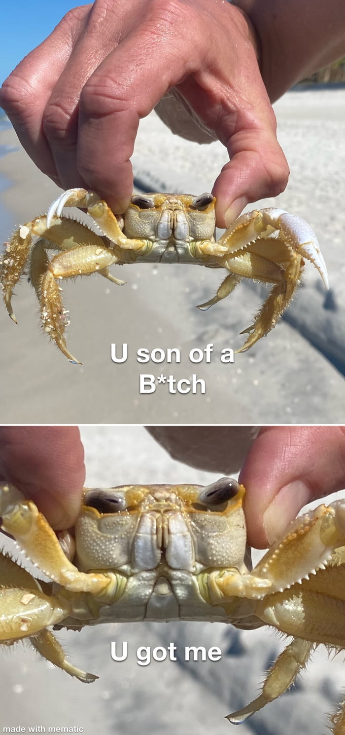 Post about crab - 9GAG