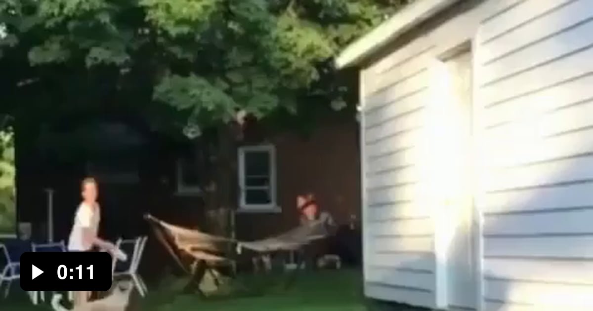 The attitude on that Frisbee - RIP cameraman - 9GAG