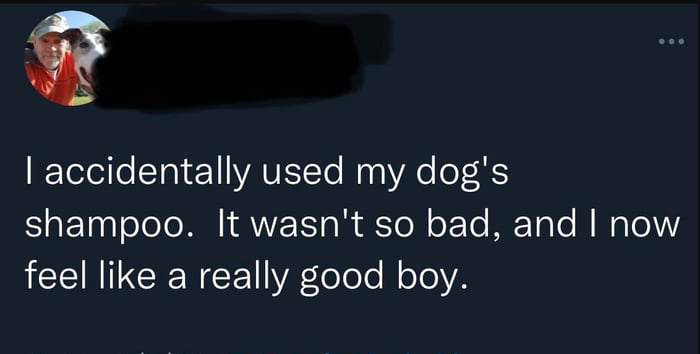 At least he’s flea free too! - 9GAG