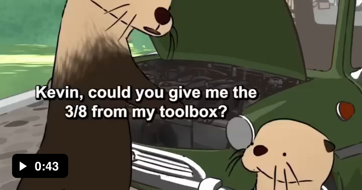 Otters are the only marine animals that use tools. However their tools are mostly rock - 9GAG