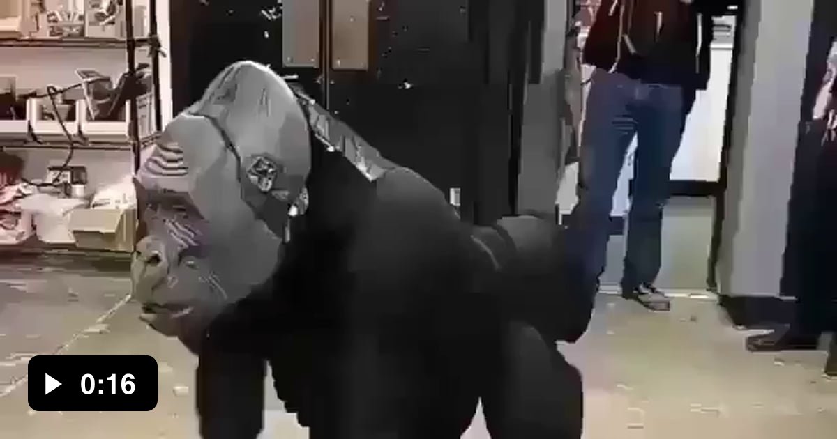 Robotic gorilla - 9GAG