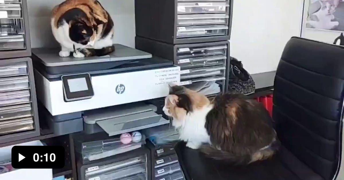 The office worker does his job admirably - 9GAG