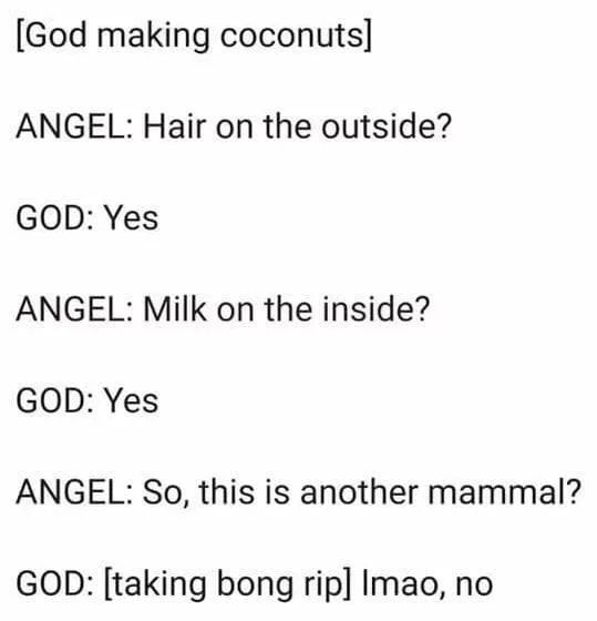 Coconuts - 9GAG