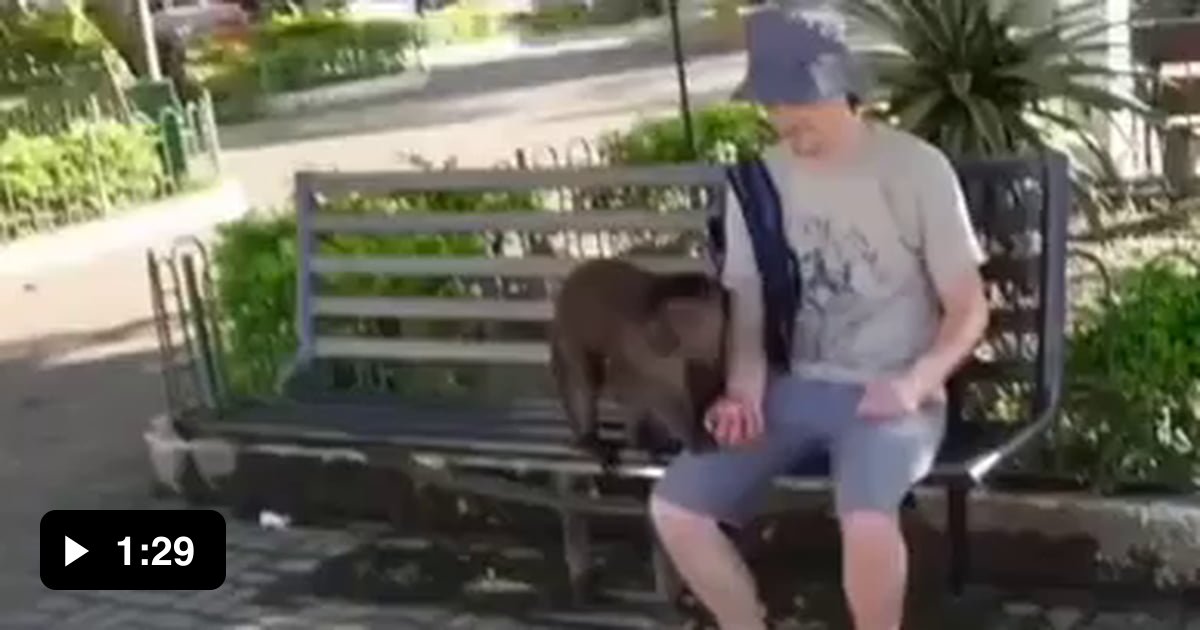 Aaaand now you're a Disney Princess - 9GAG