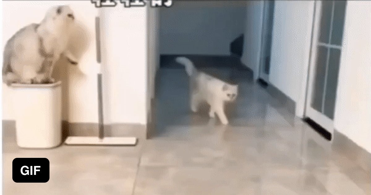 Uno reverse card - 9GAG