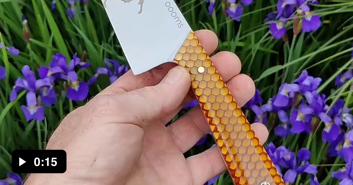 Made a Bee knife. 8 inch chefs knife out of stainless AEB-L with a ...