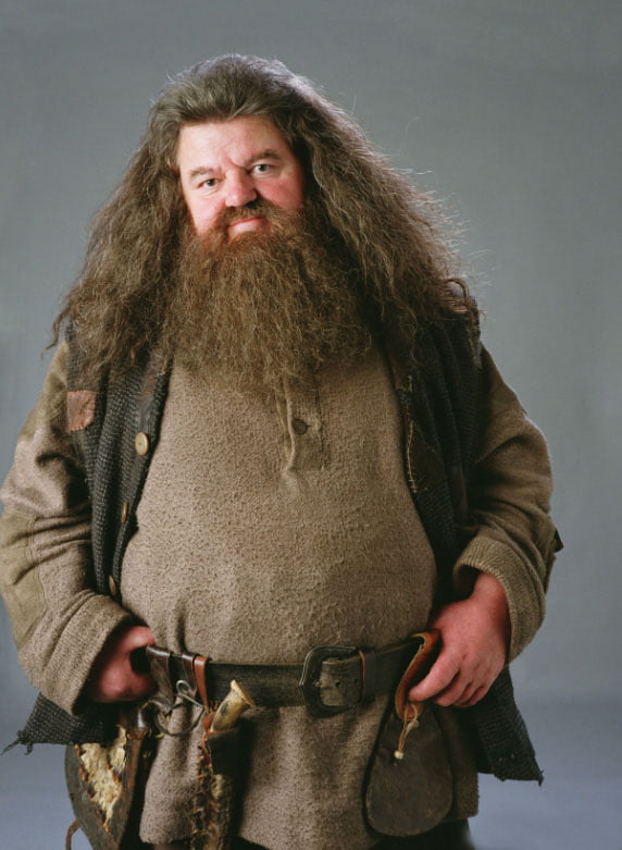 RIP Hagrid - 9GAG