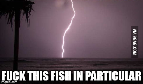 F*** THIS FISH IN PARTICULAR - 9GAG