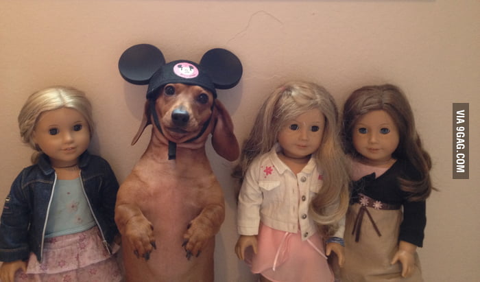 "Shhhh. If I hold still, they'll just think I'm a doll." - 9GAG