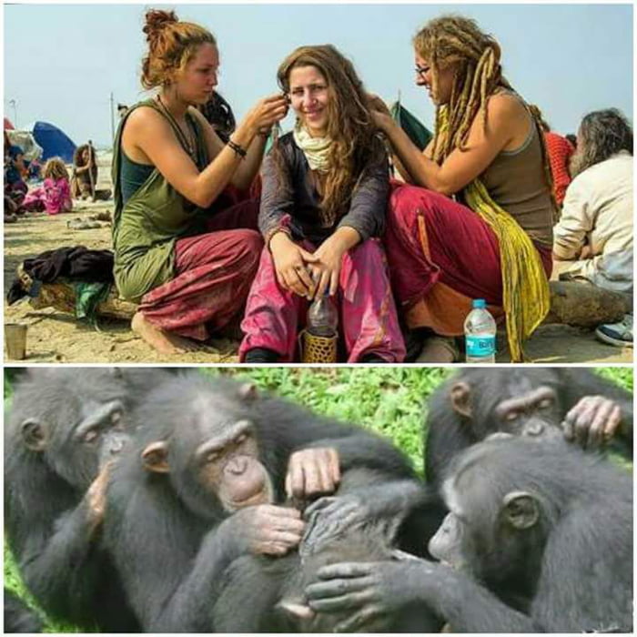 Nice evolution - 9GAG