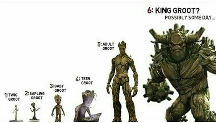 I am Groot - 9GAG
