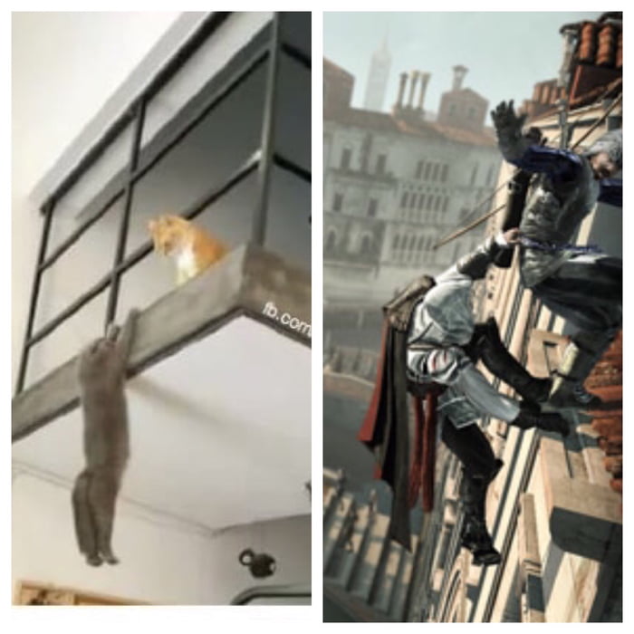 That poor ginger cat - 9GAG