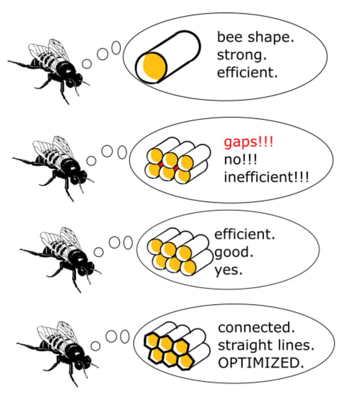 Hexagonal Beehives - 9GAG