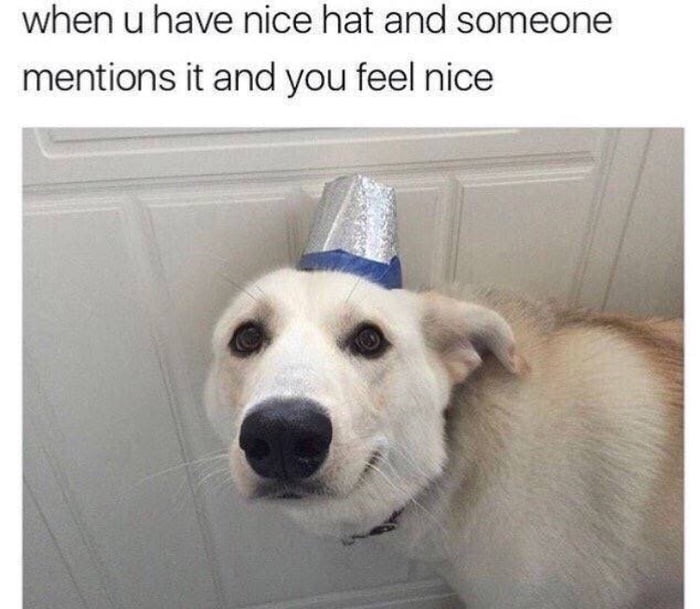 Hi mister doggo - 9GAG