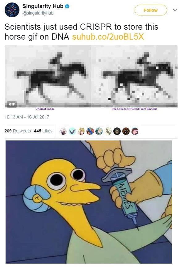 Inhale the memes, exhale the memes, inject the memes into my ...